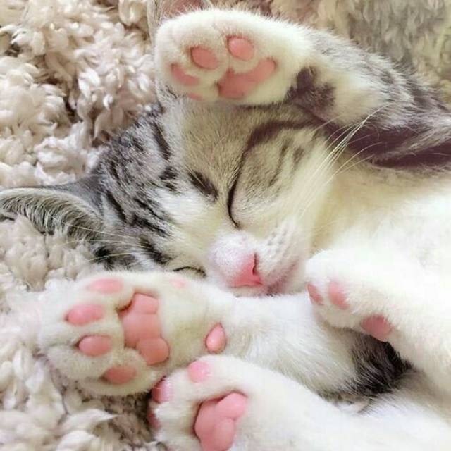 Produk CEMILAN RIN | Shopee Indonesia