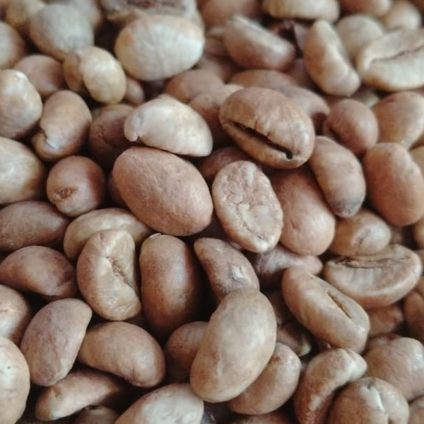 Produk KOPI ROBUSTA SUMATRA | Shopee Indonesia