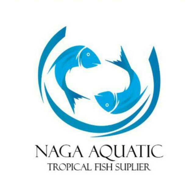 Produk Naga Aquatic | Shopee Indonesia