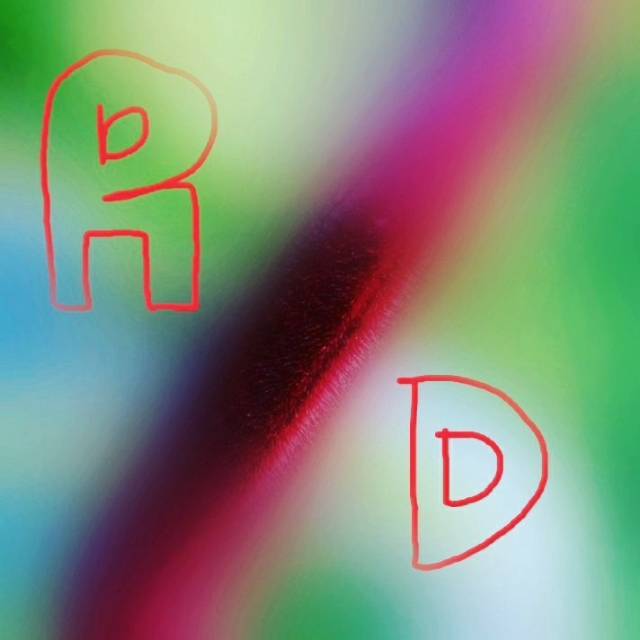 Produk RASHDAN | Shopee Indonesia