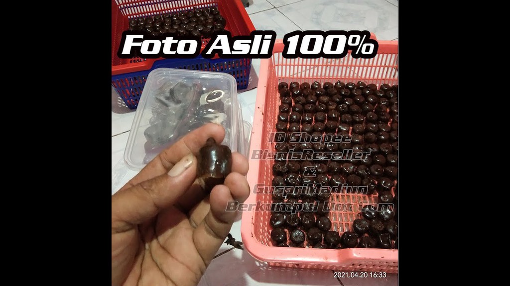 Produk Toko Agus Farm | Shopee Indonesia