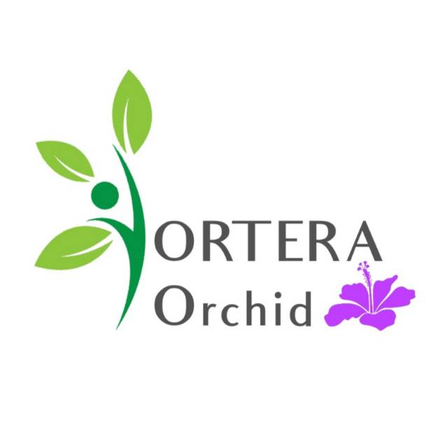 Produk ORTERA ORCHID | Shopee Indonesia