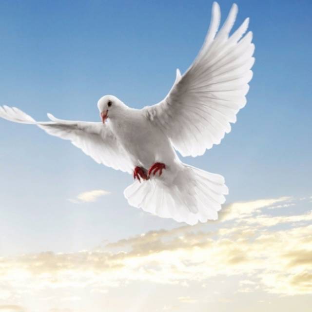 Produk Alfitra gloves | Shopee Indonesia