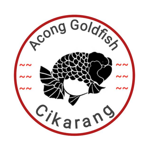 Produk ali_acong | Shopee Indonesia