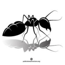 Produk Semut Liquid Semut_Liquid | Shopee Indonesia