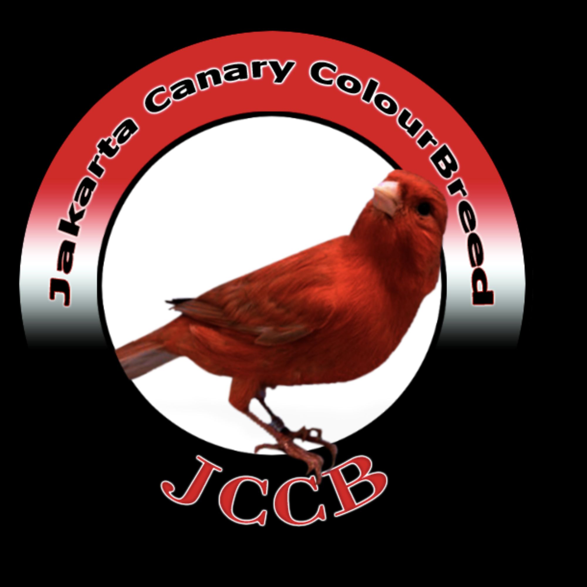 Produk JCCB On Line Shop | Shopee Indonesia