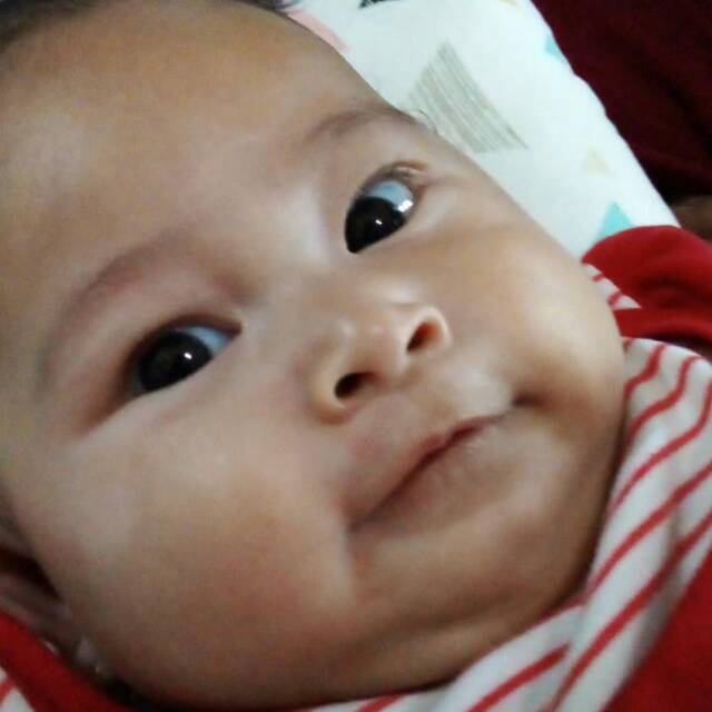 Produk jeoel | Shopee Indonesia