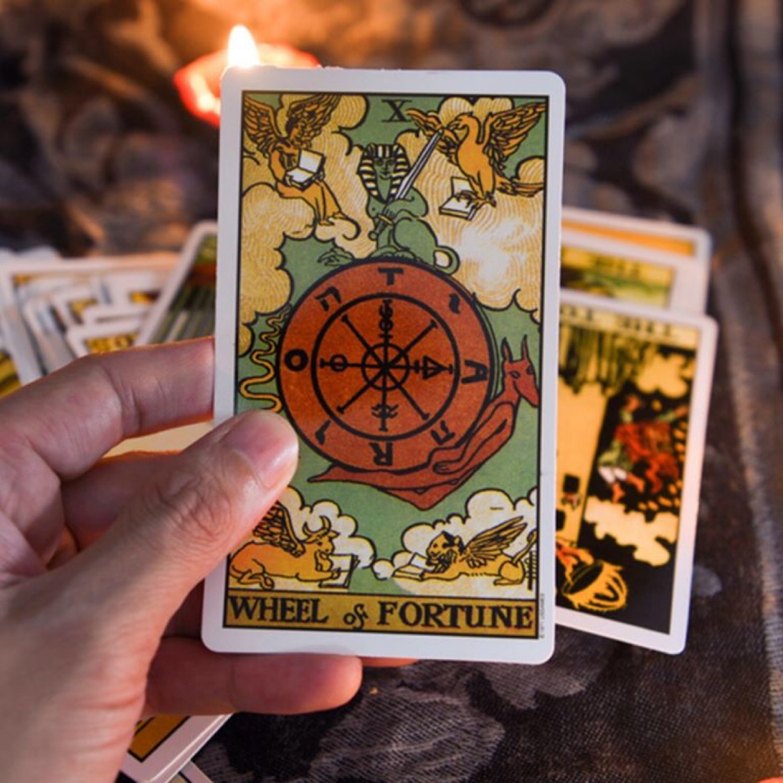 Produk Wheel_of_fortune_scond_branded | Shopee Indonesia