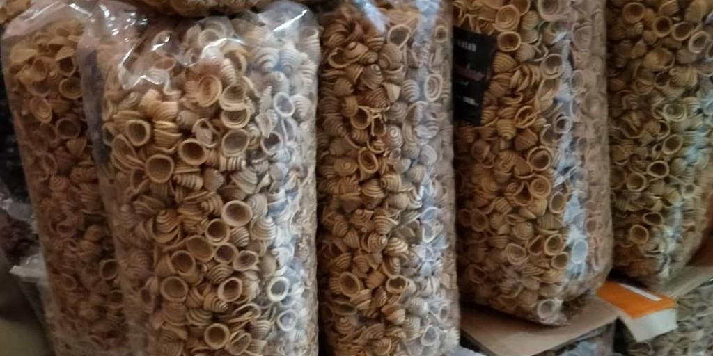 Produk gendis chococandy | Shopee Indonesia