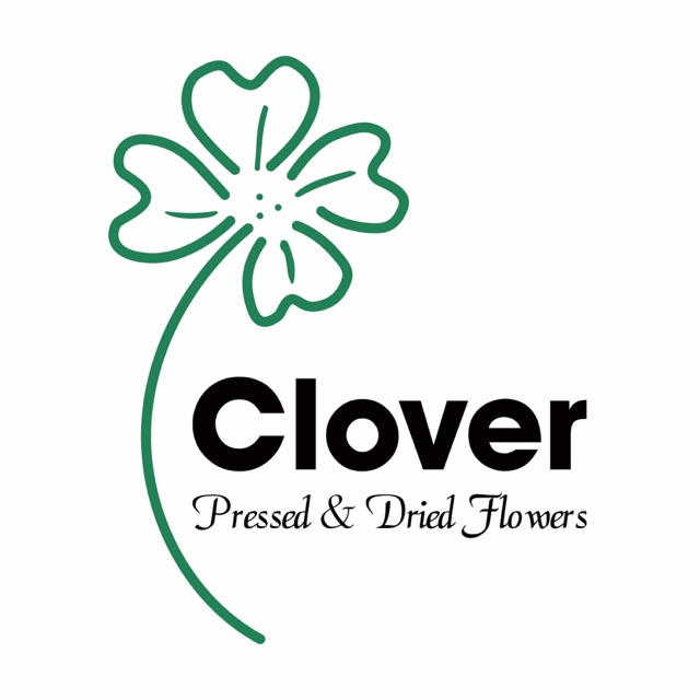 Produk Clover Pressed & Dried Flowers | Shopee Indonesia