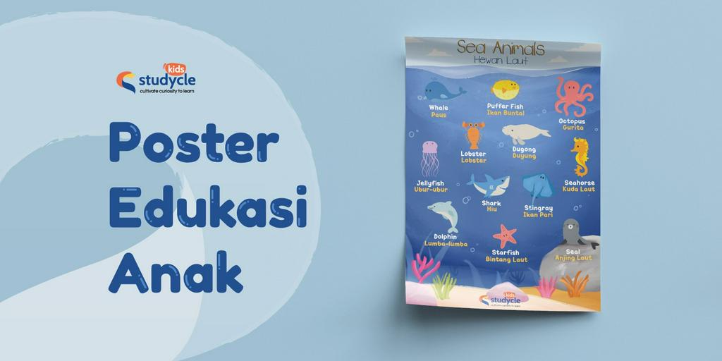 Produk Studycle Kids | Shopee Indonesia