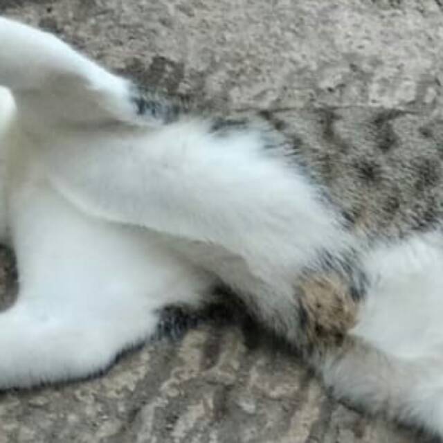 Produk ipung_skincare | Shopee Indonesia