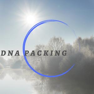 Produk DNA PACKING | Shopee Indonesia