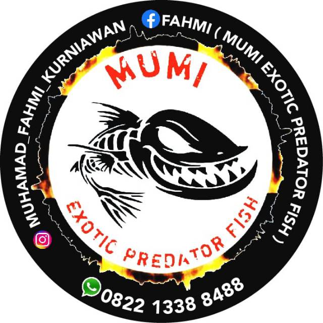 Produk Laiqa aquatic | Shopee Indonesia