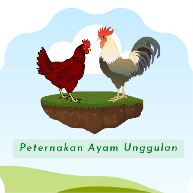 Produk Peternak Ayam Unggulan | Shopee Indonesia