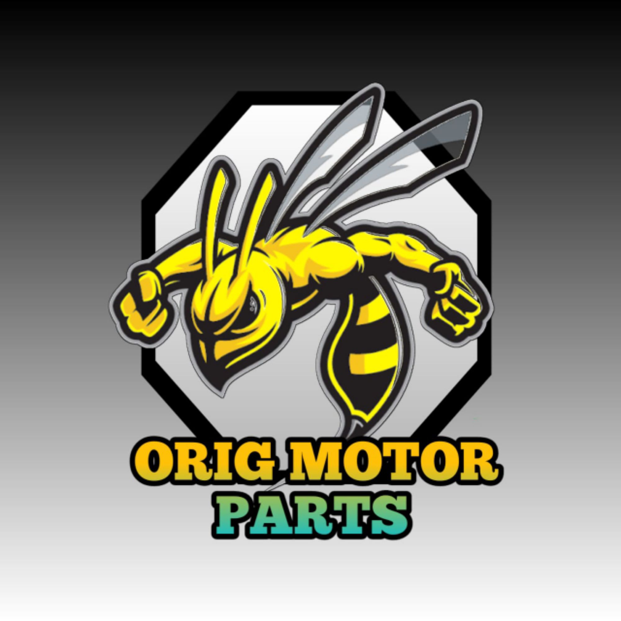 Produk ORIG MOTOR PARTS | Shopee Indonesia