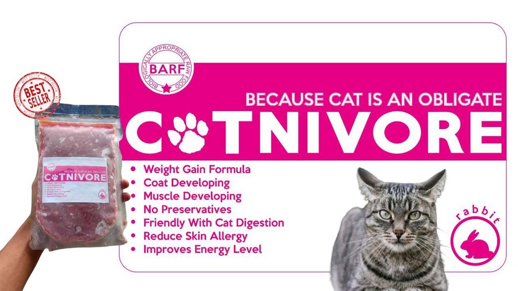 Produk Central Cats Official | Shopee Indonesia