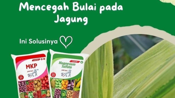 Produk Toko_SAM | Shopee Indonesia