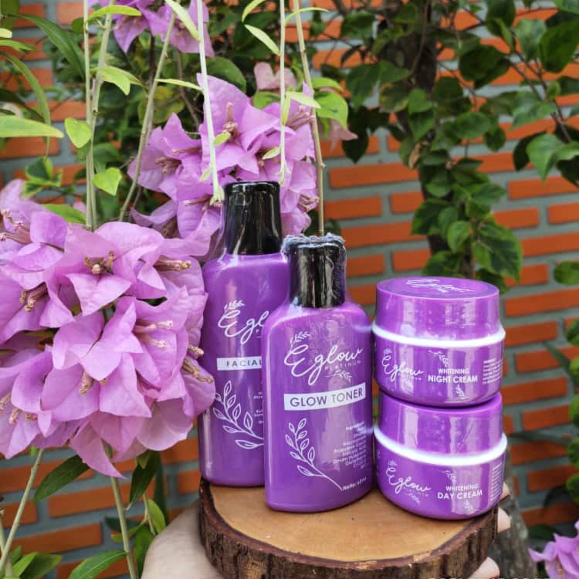 Produk EGLOW PLATINUM BOGOR | Shopee Indonesia