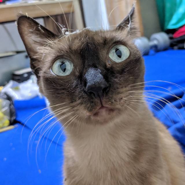 Produk TokuZilla | Shopee Indonesia