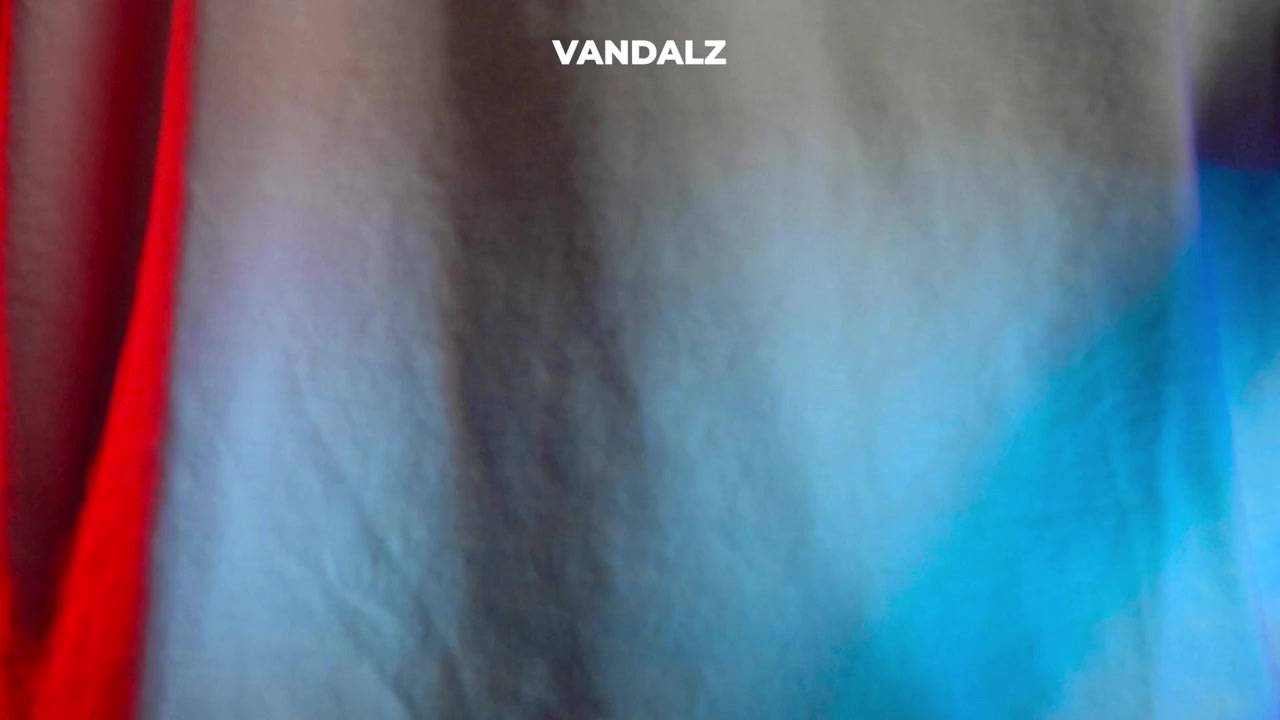 Toko Online Vandalz Official Shop | Shopee Indonesia