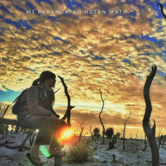 Produk MR.MOUNT | Shopee Indonesia