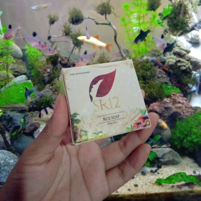 Produk Cecantik SR12 | Shopee Indonesia