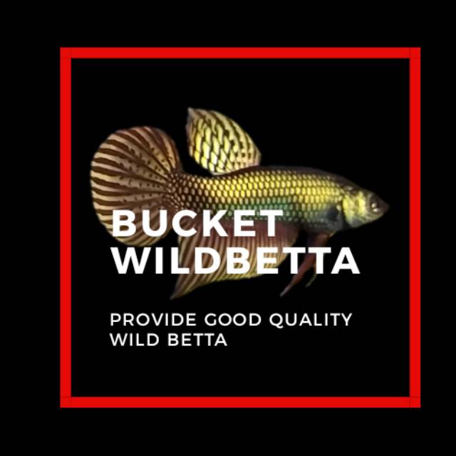 Produk BWB shop | Shopee Indonesia