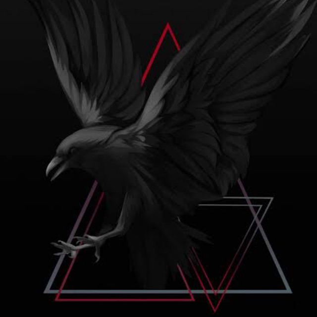 Produk Raven Co | Shopee Indonesia