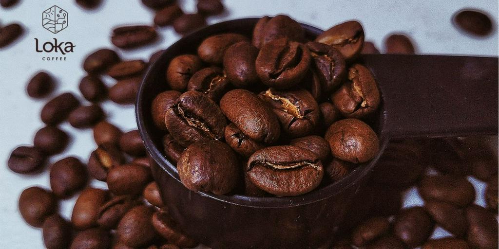 Produk Loka Coffee Official | Shopee Indonesia