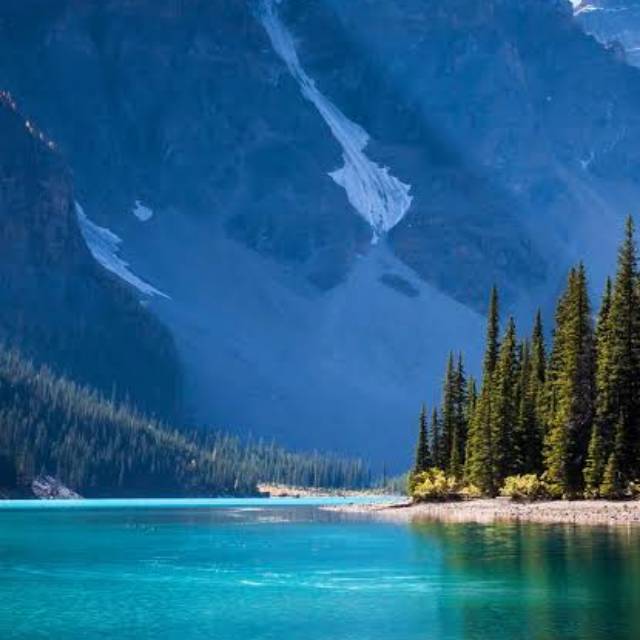 Produk Bintang Raya | Shopee Indonesia