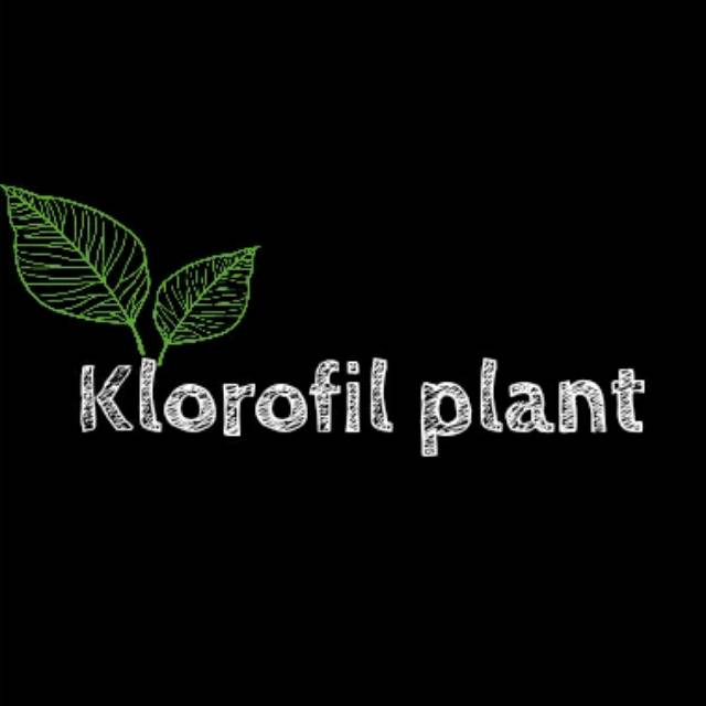 Produk Klorofil plant | Shopee Indonesia