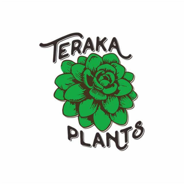 Produk Teraka Plants | Shopee Indonesia