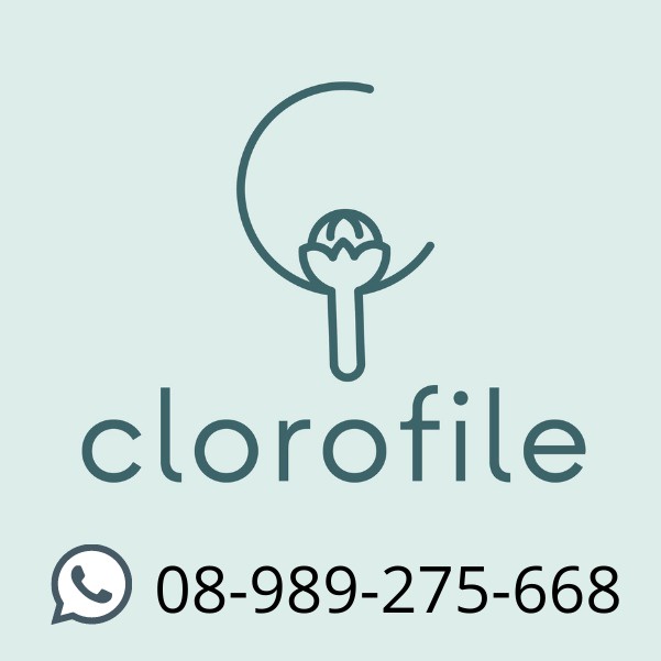 Produk clorofile media | Shopee Indonesia