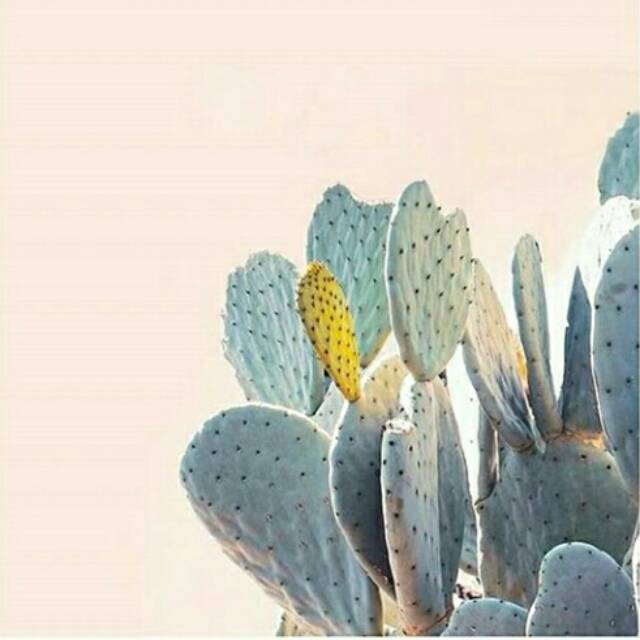 Produk RJ7_fashion | Shopee Indonesia