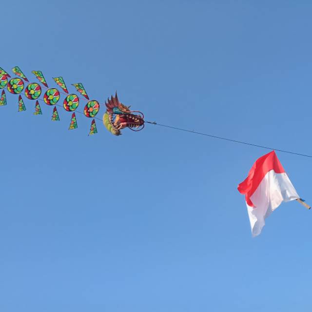 Produk layangan naga | Shopee Indonesia