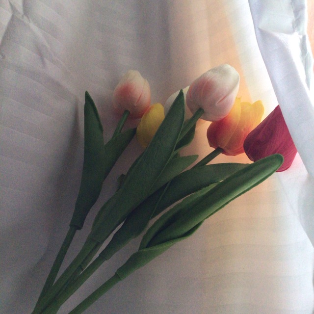 Produk tasaq | Shopee Indonesia