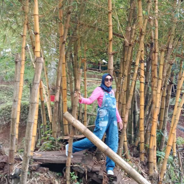 Produk toko mami 1982 | Shopee Indonesia