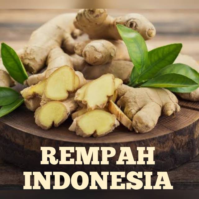 Produk rempah_indo | Shopee Indonesia