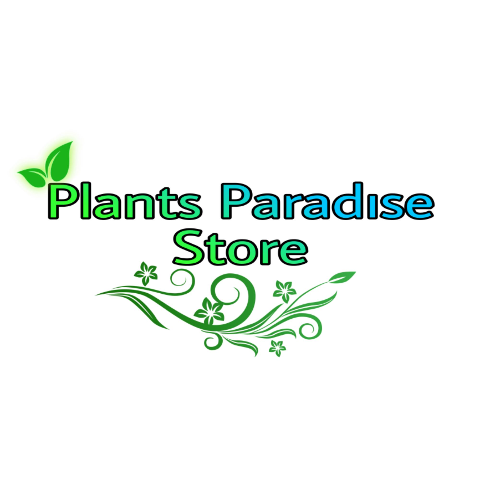 Produk Plants Paradise Store | Shopee Indonesia