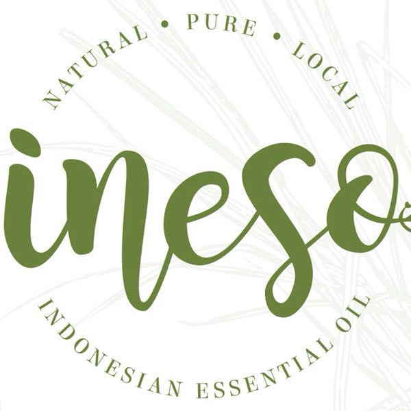 Produk INESO | Shopee Indonesia