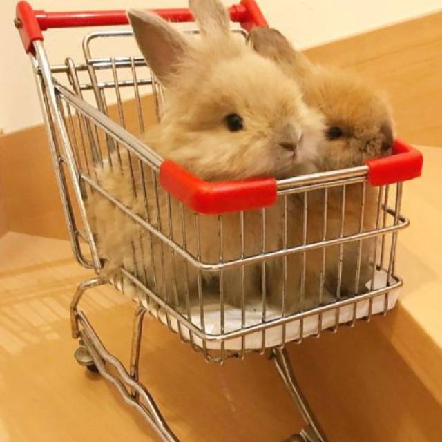 Produk Fun Stuff Store | Shopee Indonesia