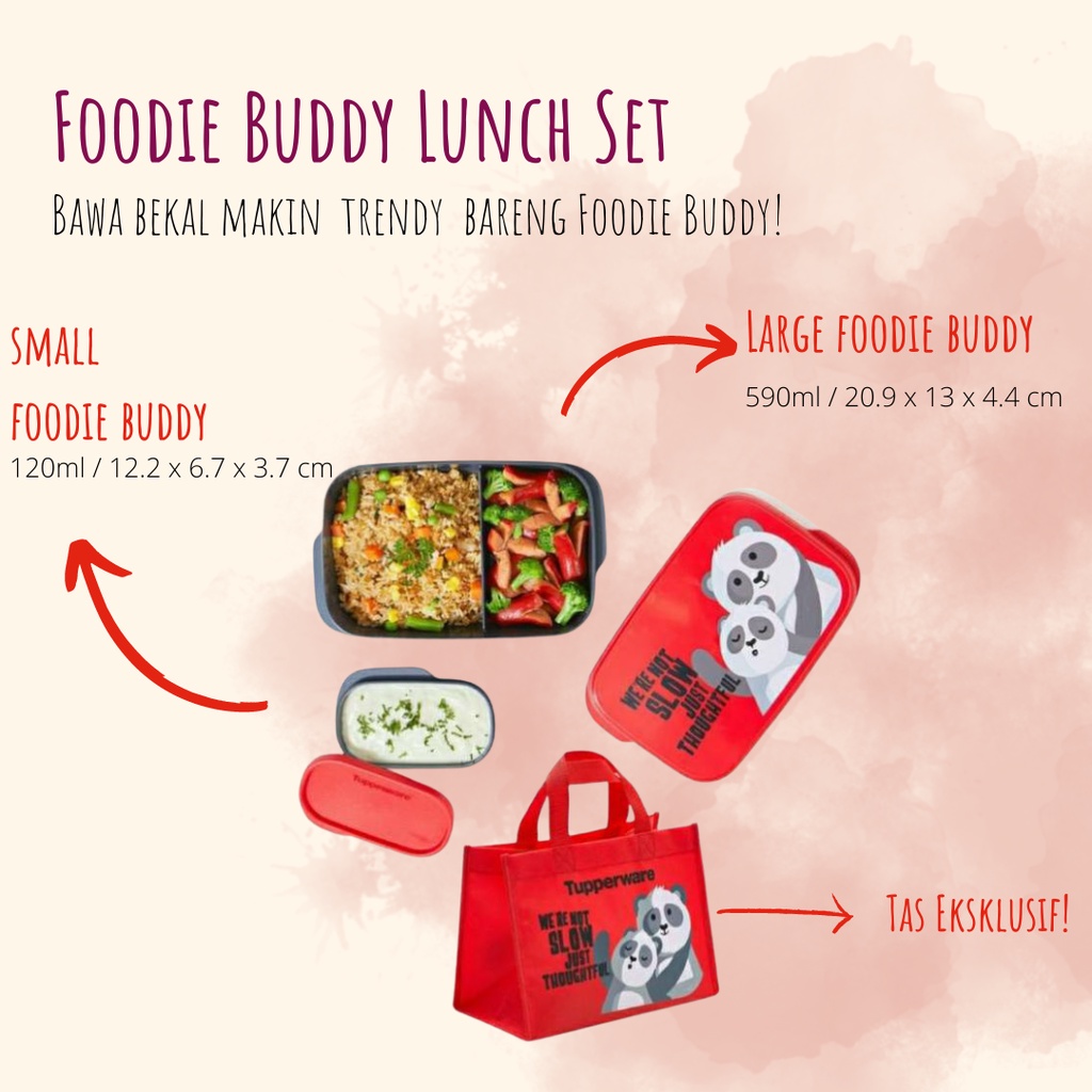 Tupperware Buddy Lunch Set
