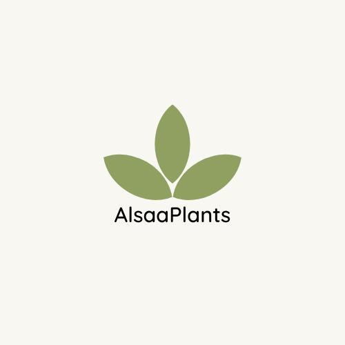Produk Alsaa Plants | Shopee Indonesia