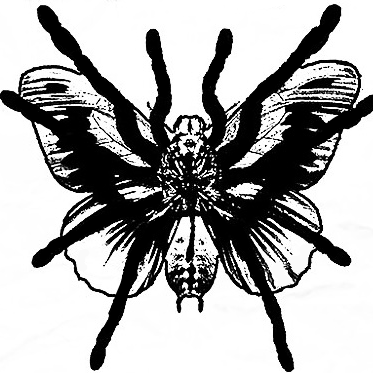 Produk Nameless Assets | Shopee Indonesia