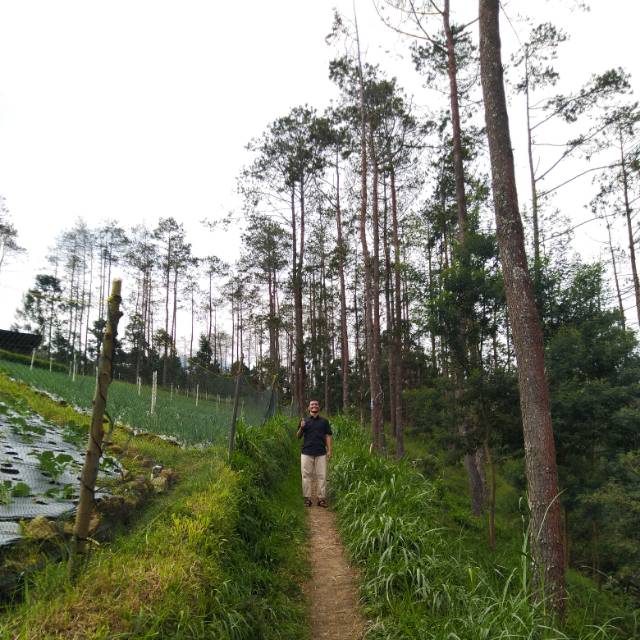 Produk Dion_Chigra_R | Shopee Indonesia