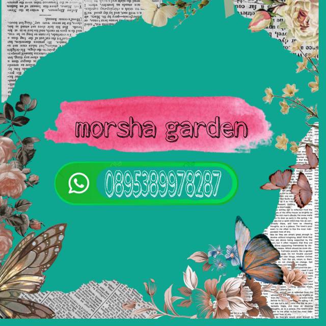 Produk Morsha garden | Shopee Indonesia