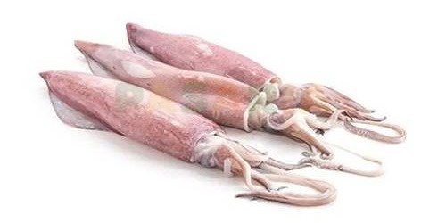 Produk Atlantis Seafood Company | Shopee Indonesia