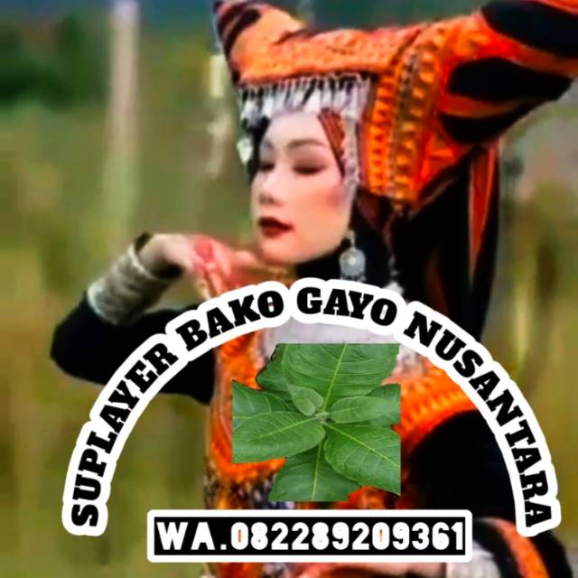 Produk SUPLAYER BAKO GAYO | Shopee Indonesia