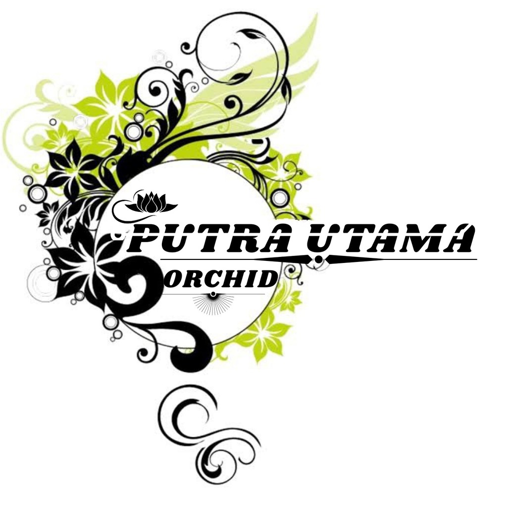 Produk PUTRA UTAMA ORCHID | Shopee Indonesia